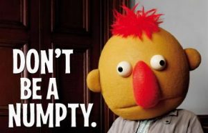 British Slang: Numpty